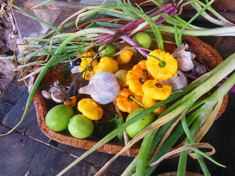 Zimbali’s Rasta Experience - Rastafari - Zimbali Retreat